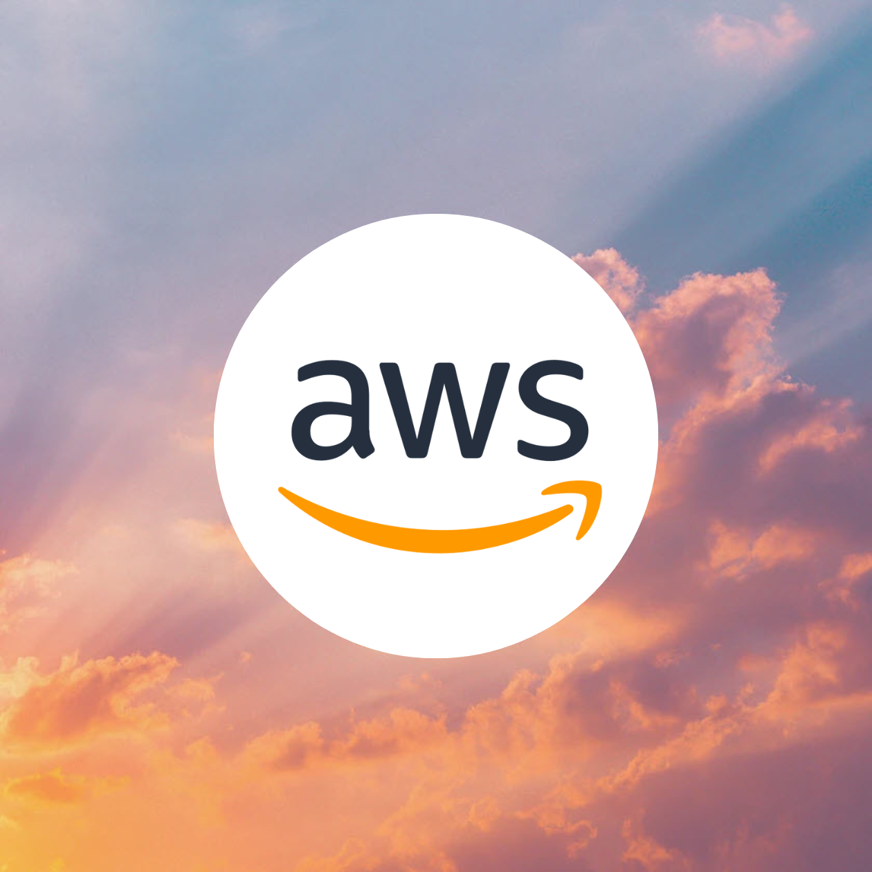 Partenaire AWS | Levio